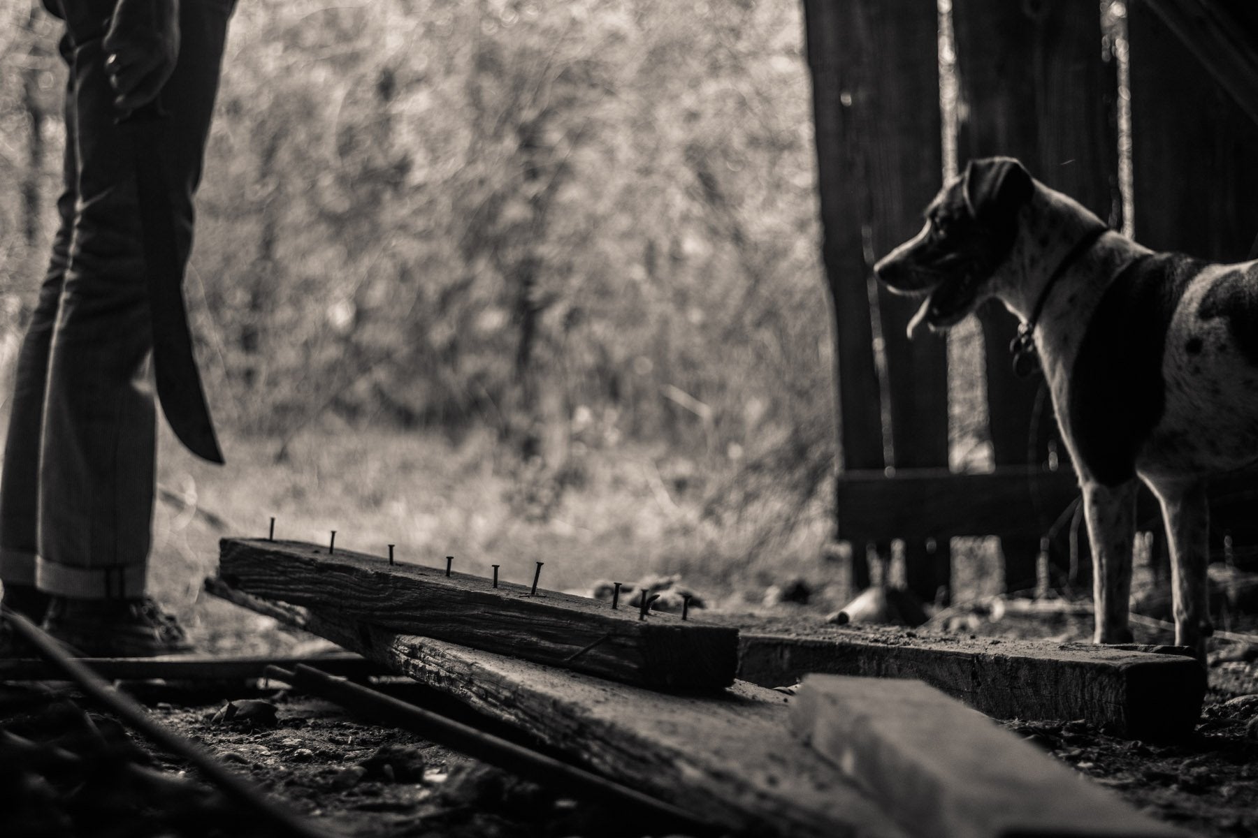 LAND x Deus – Deus Ex Machina South Africa